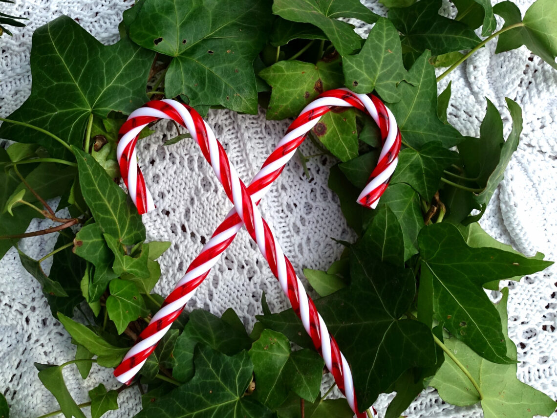 Kreative Anleitung: Einen einfachen Efeukranz winden – Schatzkiste ...